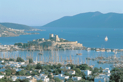 Navegar remedando al Ulises de la Odisea