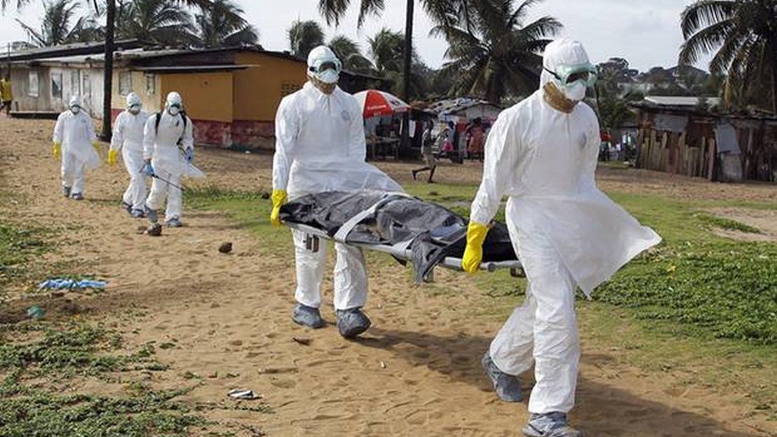 ¿Qué diferencia hay entre pandemia y epidemia? | Coronavirus, Gripe, virus