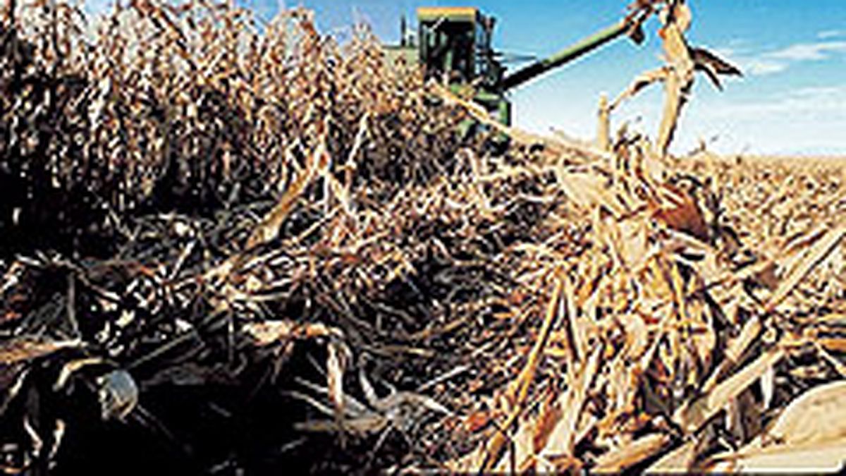 Indice de commodities, en máximo histórico