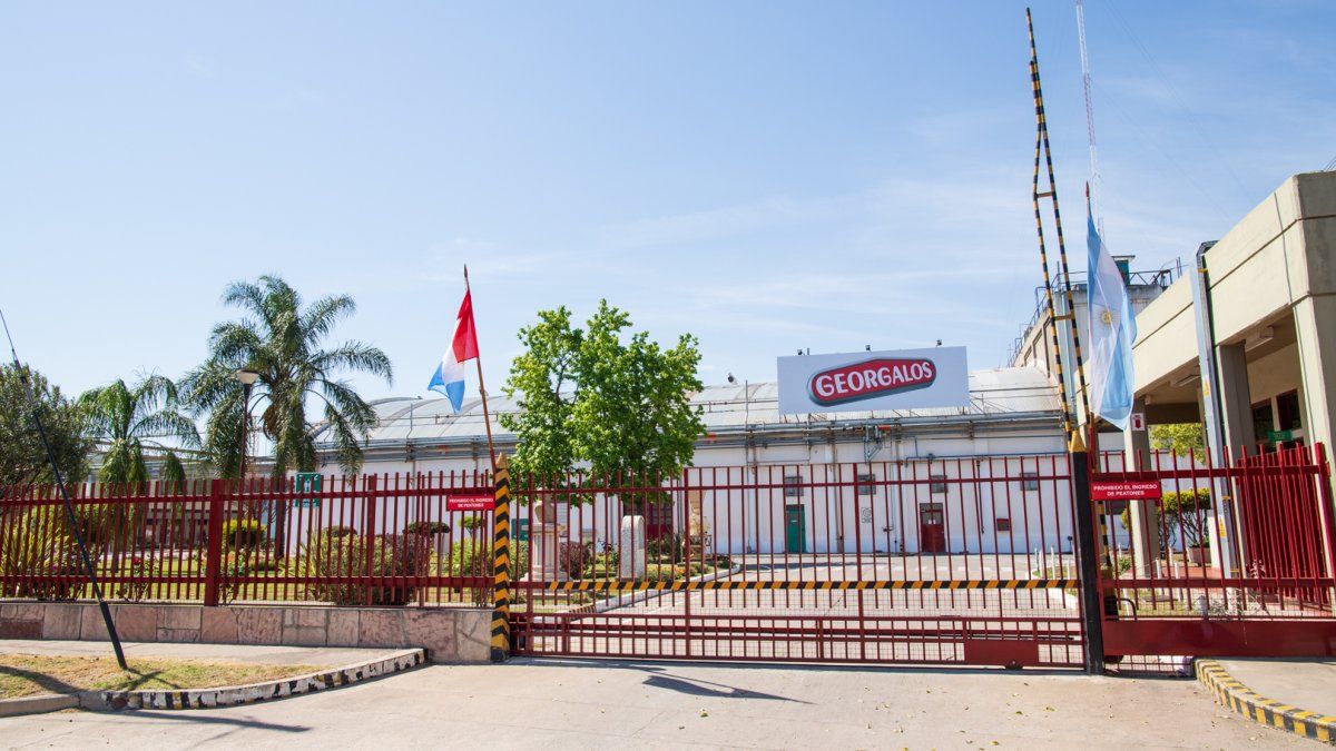 Georgalos debutó en el mercado de deuda local: colocó ON por más de u ...