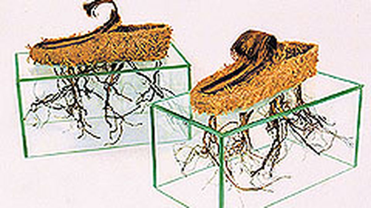 María Herrada, entre nostalgia y dramatismo