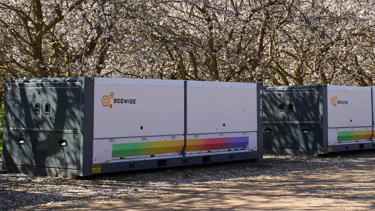 La colmena con Inteligencia Artificial que acumula millones de abejas y ...