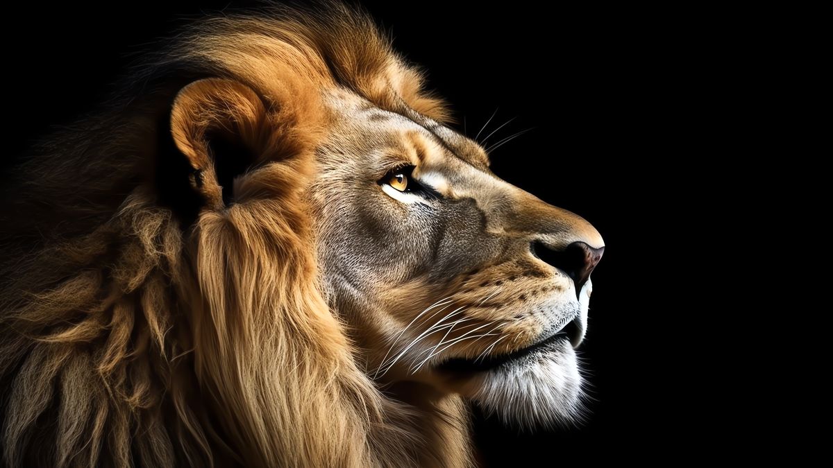 Portal del León 8/8: qué es y por qué debes pedir un deseo al universo