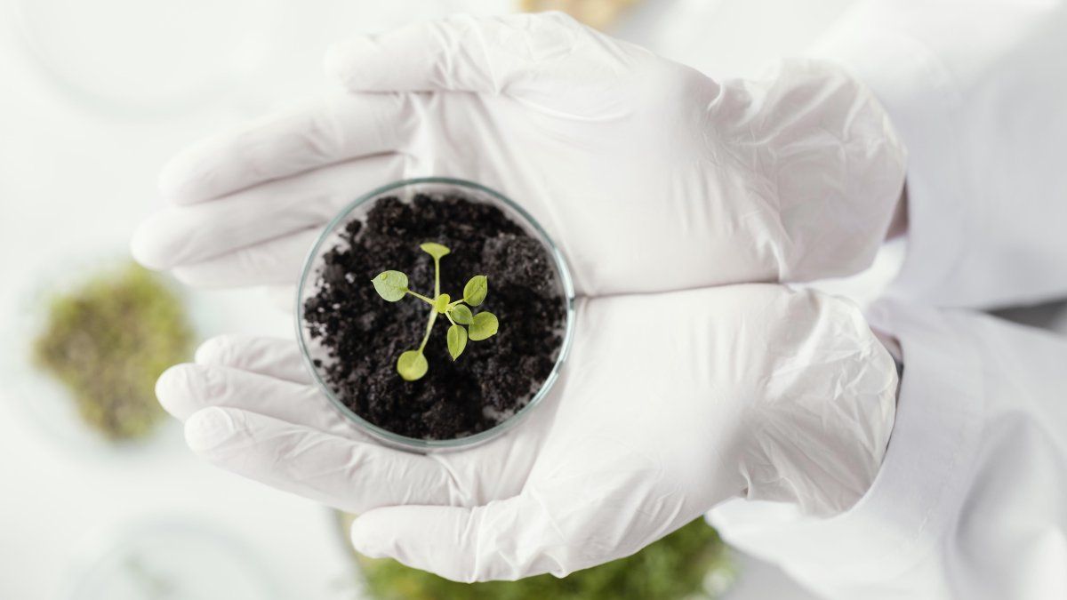 El rol de los biólogos y los desafíos para el cuidado del planeta