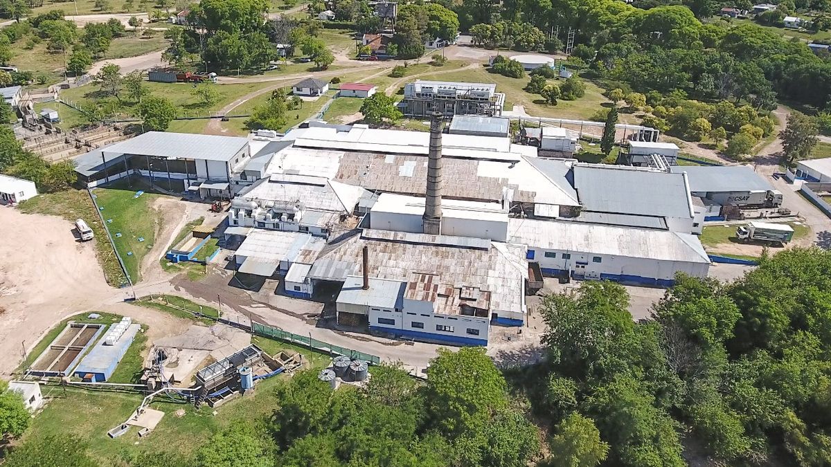 Se agudiza la crisis frigorífica: Casa Blanca envió a más de 400 ...