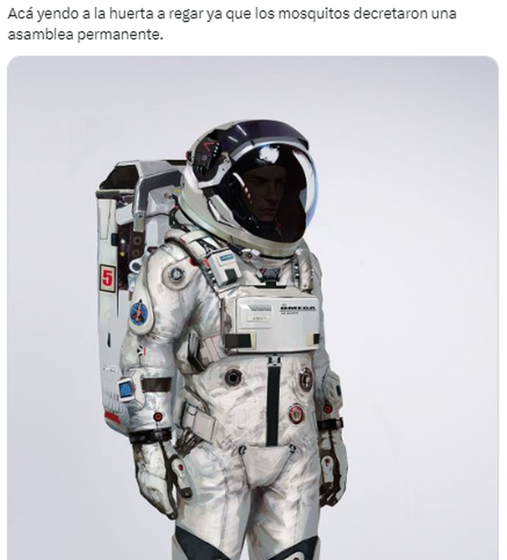 Los mejores memes de la invasión de mosquitos en el AMBA