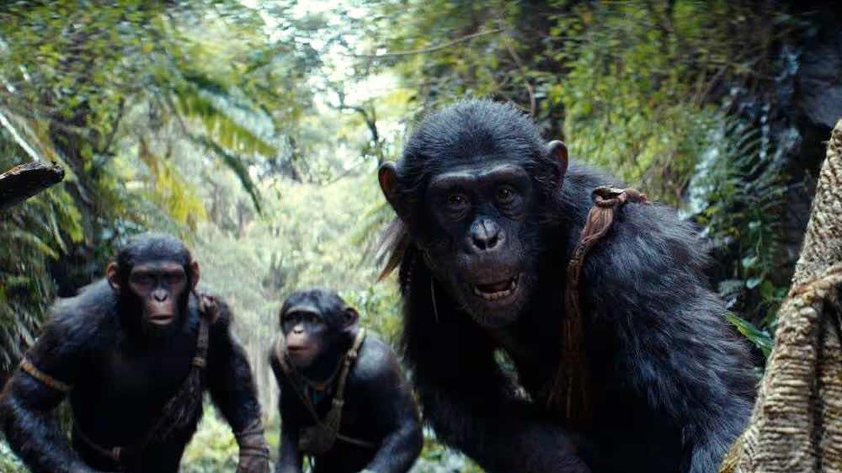 El Planeta de los Simios: Un Nuevo Reino, el gran estreno de Disney+ ...