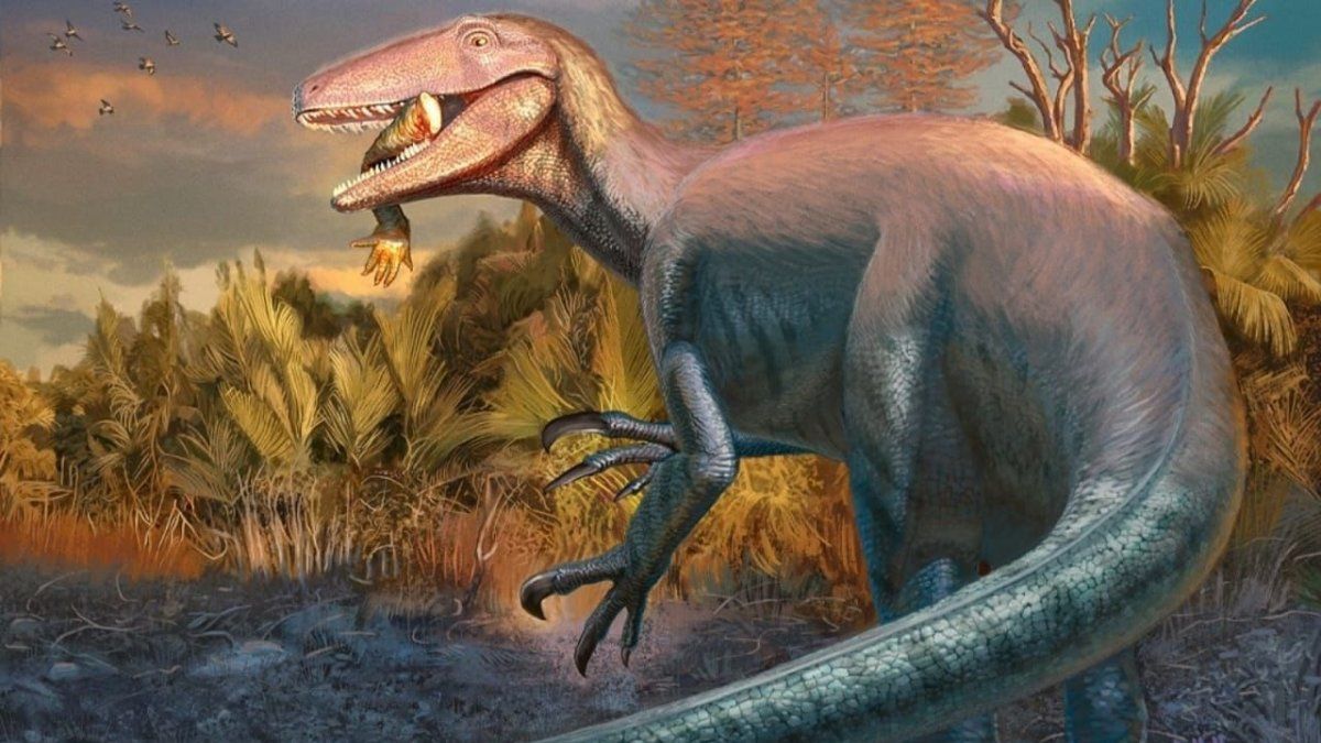CONICET halló en Chubut al Joaquinraptor, un dinosaurio carnívoro que ...