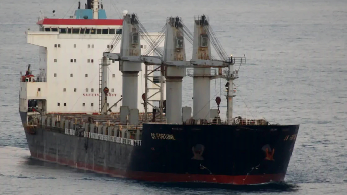 Llega a Río Negro el barco con los caños para el gasoducto del GNL: un ...