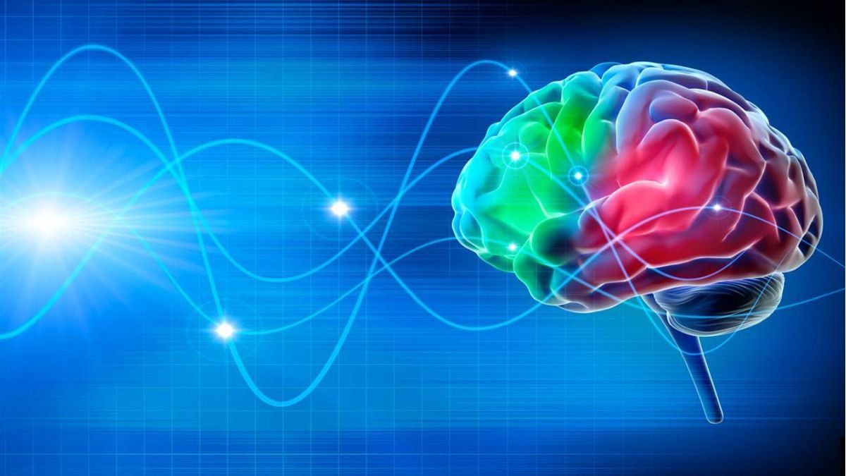 Cerebro: cómo afecta el Alzheimer y de qué manera se puede prevenir