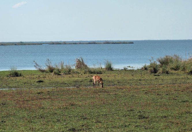 Neither Cafayate nor Purmamarca: the jewels of northern Argentina that ...