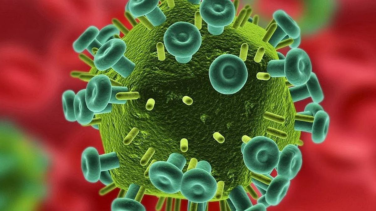 Nuevo estudio revela cómo se propagó el VIH en EEUU