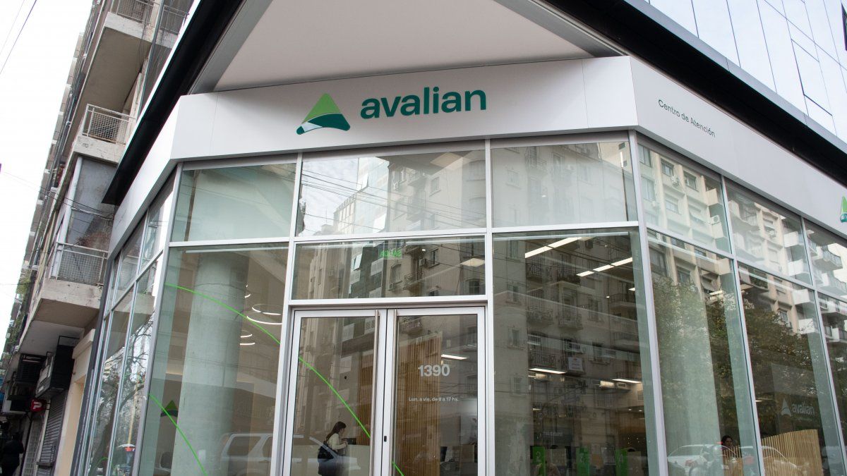 Avalian, continúa creciendo y abre un nuevo Centro de atención en CABA - TrendRadars Español