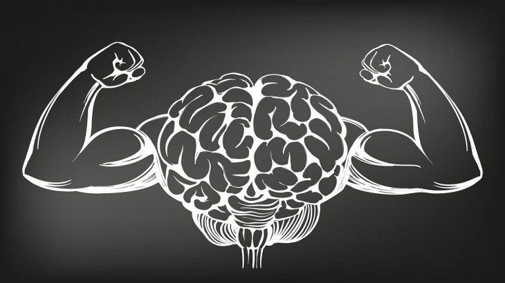 Cerebro: cómo prevenir el deterioro cognitivo