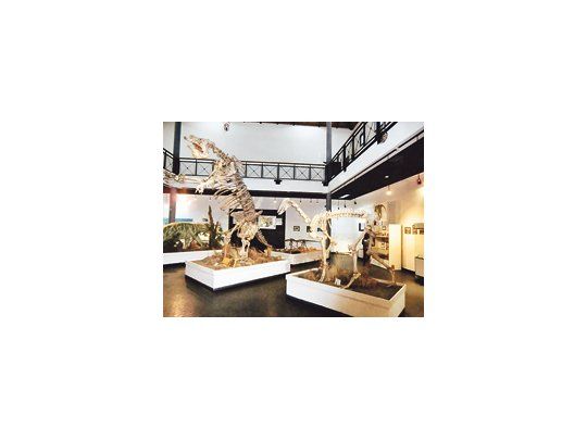 Los atractivos secretos que ofrece Río Gallegos