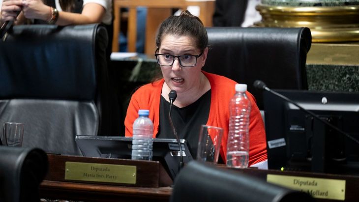 En un paso hacia la autonomía, la Legislatura dio luz verde a la ...