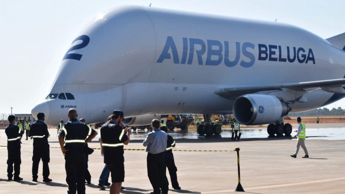 Llegó Beluga: el avión con forma de ballena pisó por primera vez ...