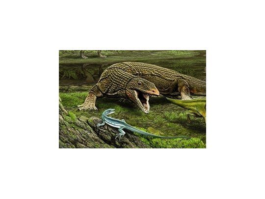 Bautizan a un lagarto extinto como Obamadon