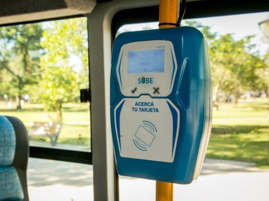 Boleto estudiantil SUBE: cómo tramitarlo en la Provincia y en la Ciudad