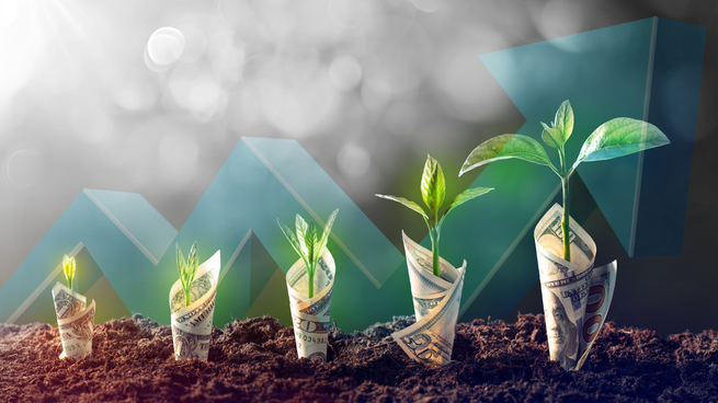 En qué invertir los dólares: estas son las ONs que recomienda el mercado