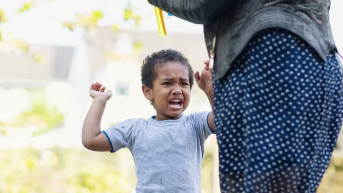 El suplemento que reduce la conducta agresiva, según la ciencia