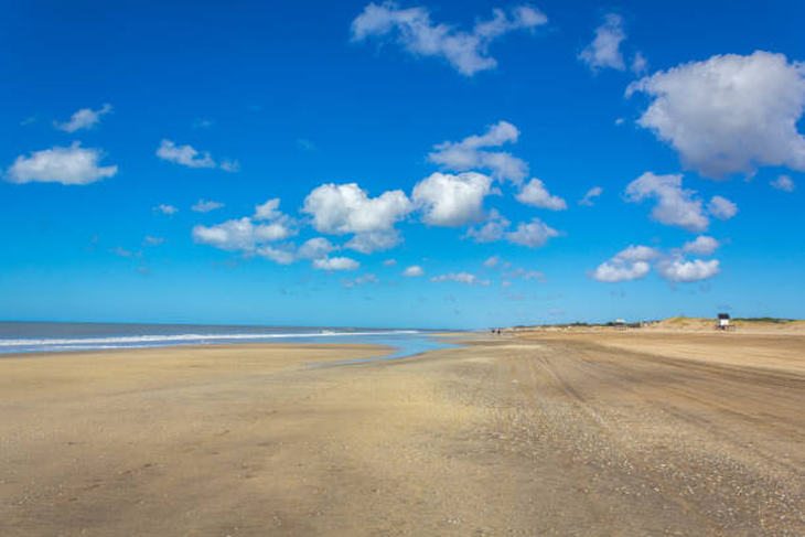 Verano en Pinamar: 3 actividades para disfrutar en la playa y el bosque