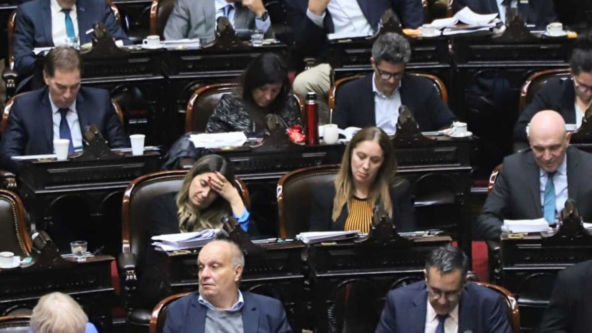 Ley Bases: la sesión fue la segunda más larga de la historia