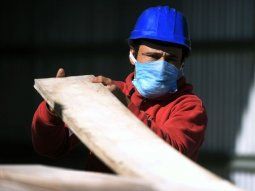 Andrés Lerner - Perfil