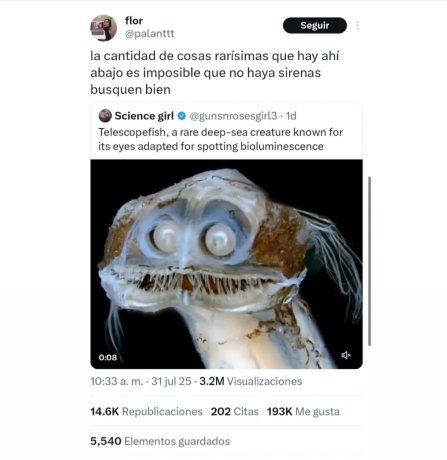 Pez telescopio: los mejores memes del espécimen que se viralizó tras el ...