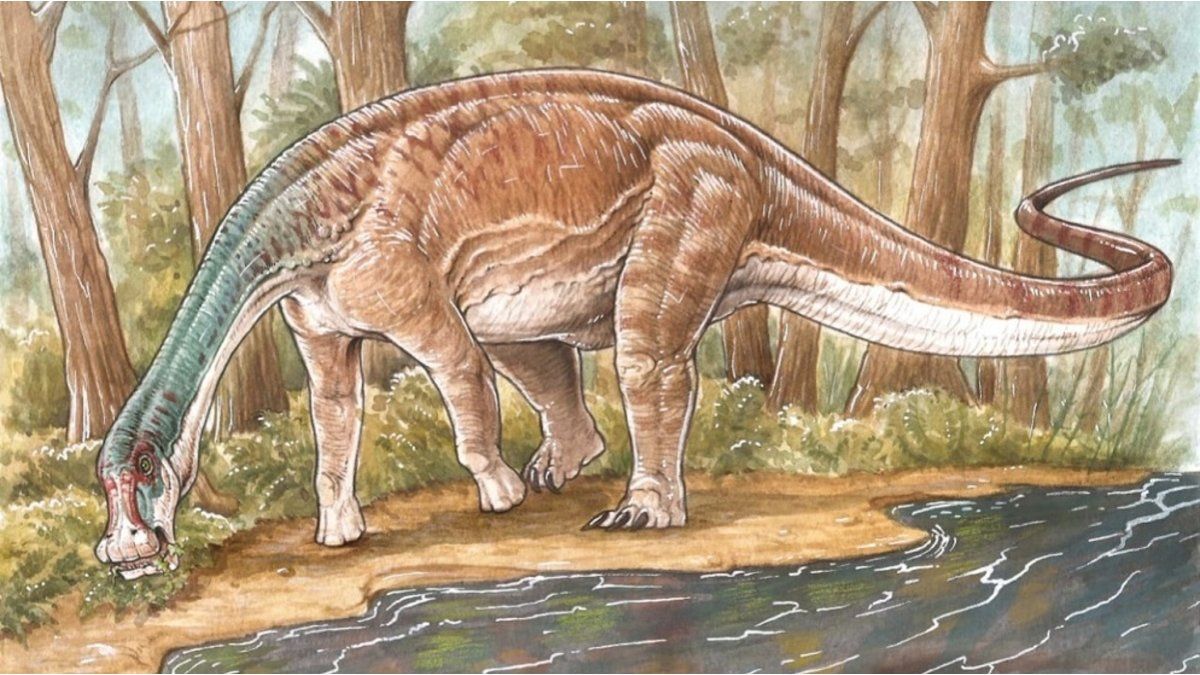 Descubren una nueva especie de dinosaurios que vivió hace 86 millones ...