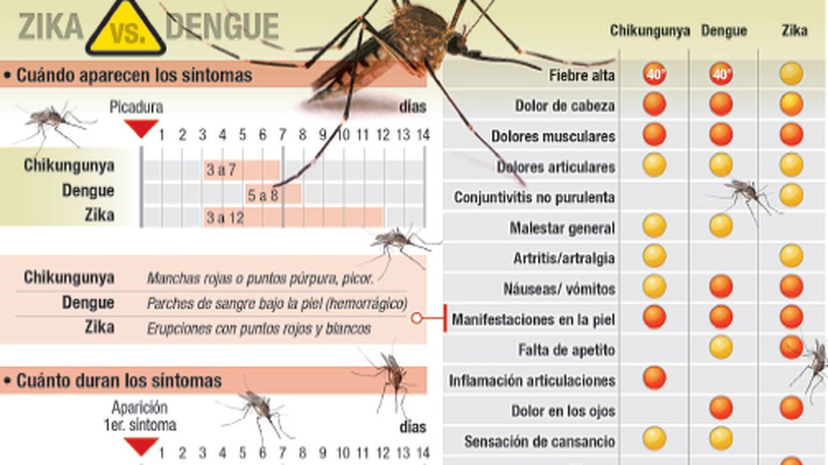 Zika vs Dengue