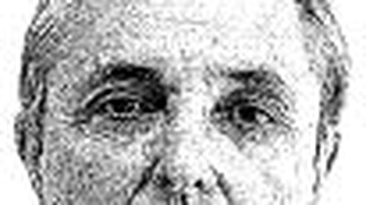 Estiman que industria forestal representará entre el 5% y el 6% del PBI ...