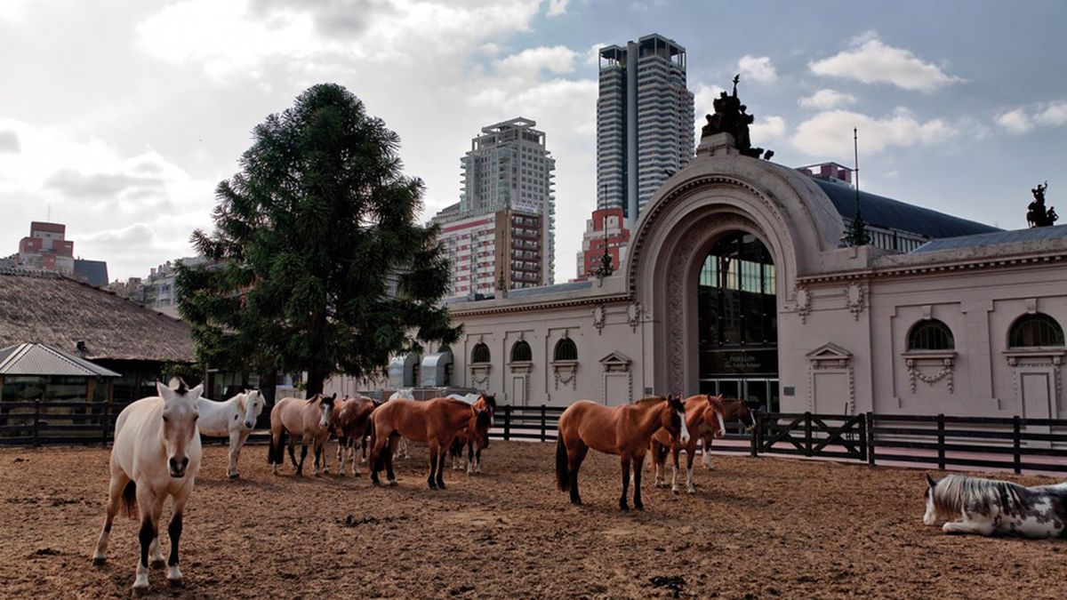 Revés judicial para la SRA por el predio de La Rural