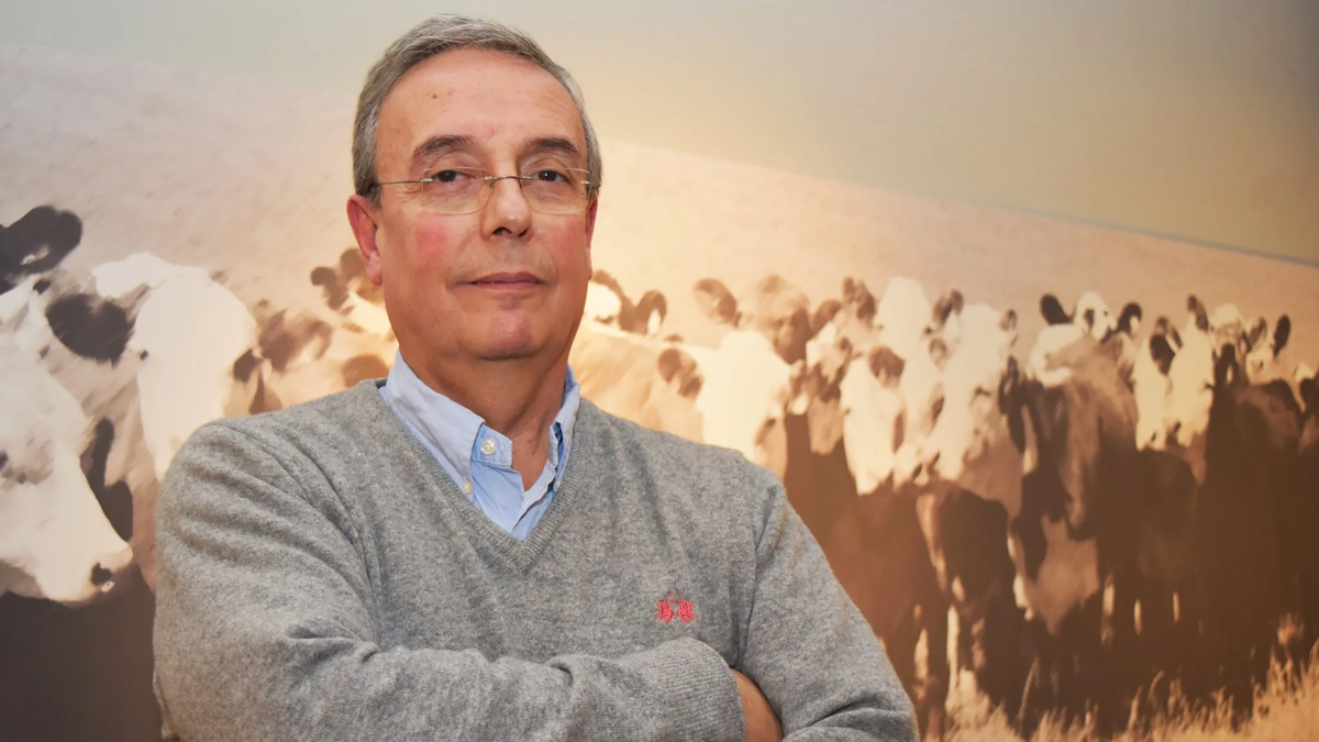 Caso Conexión Ganadera: confirman que el cuerpo del accidente era el de ...