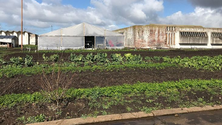 Mar del Plata: presos y víctimas de inseguridad abren un restaurant en ...