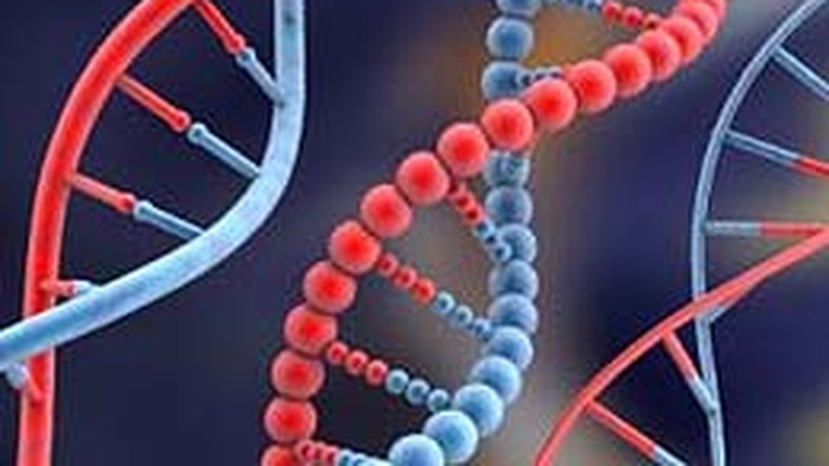 Identifican gen que influye en forma más común de epilepsia