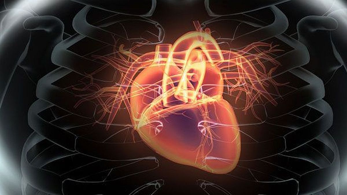 Crean nuevo dispositivo para ayudar al corazón a bombear sangre