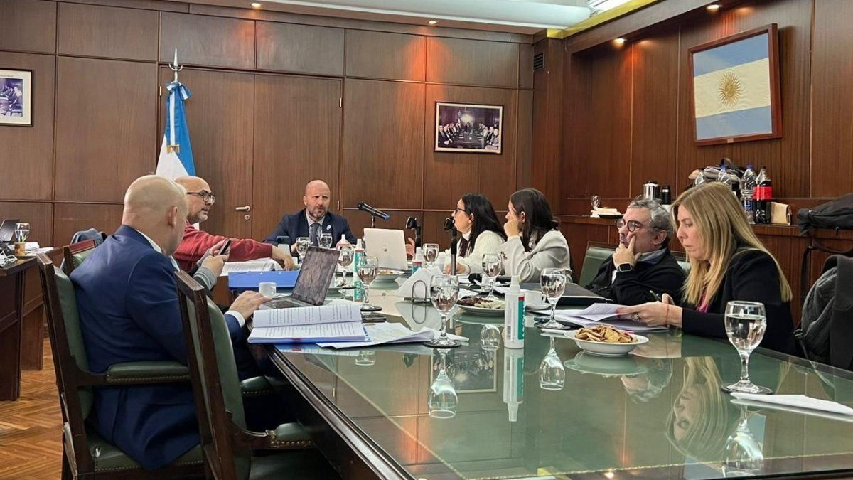 Julio Baez: Avanzamos en la tarea de tratar de dar un instrumento de ...