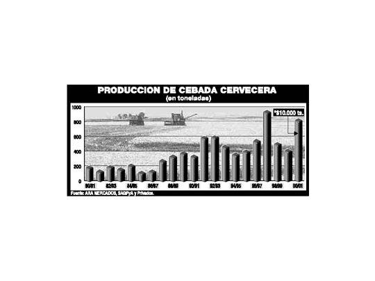 Se duplicó el área sembrada con cebada