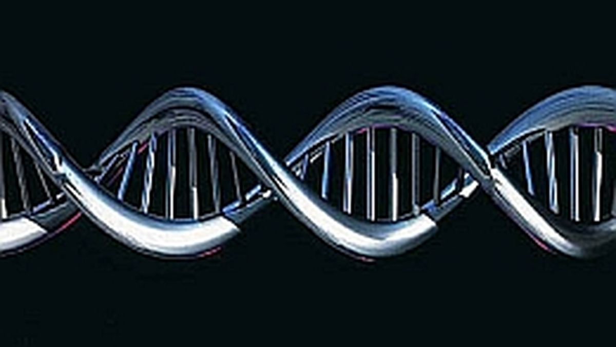 A diez años del descubrimiento del genoma humano