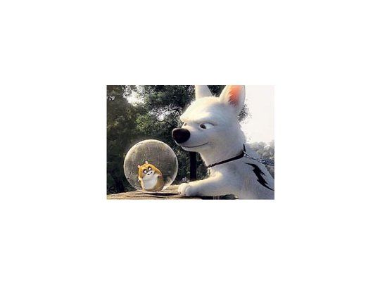 Bolt