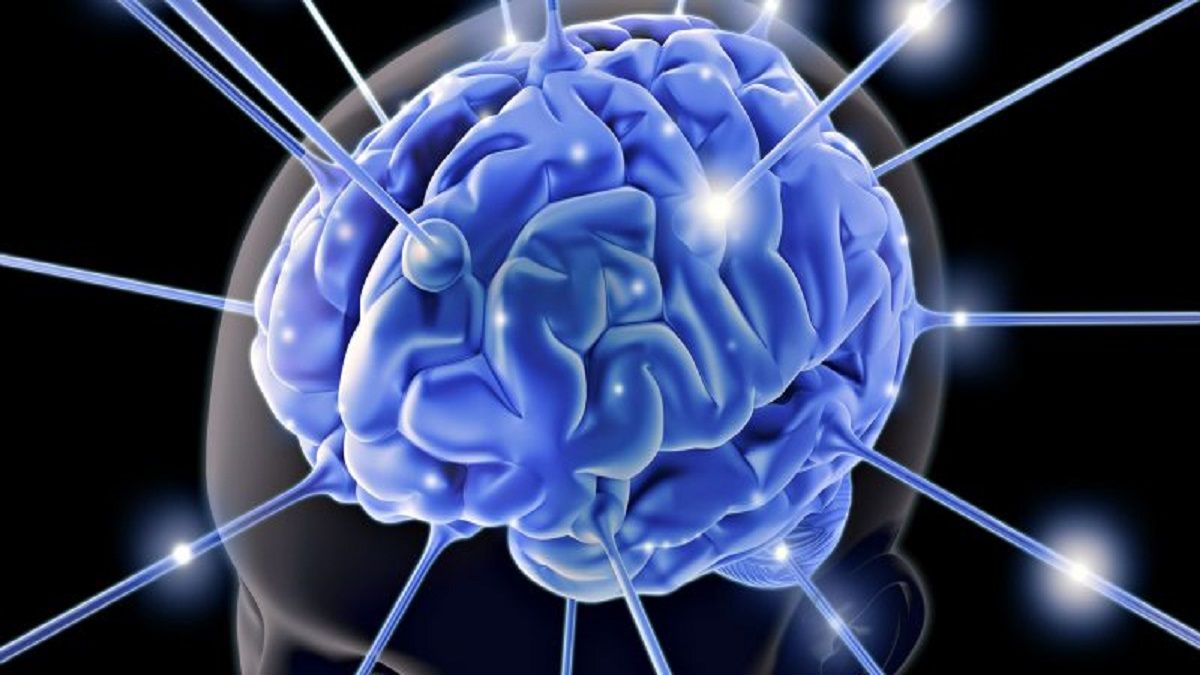 Cerebro: ¿cuántos tipos de inteligencia tenemos?