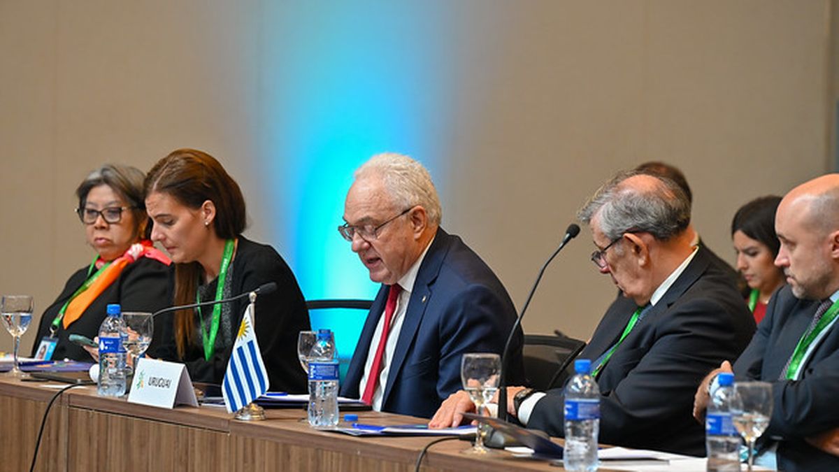 Mario Lubetkin destacó la aprobación europea del acuerdo con el ...