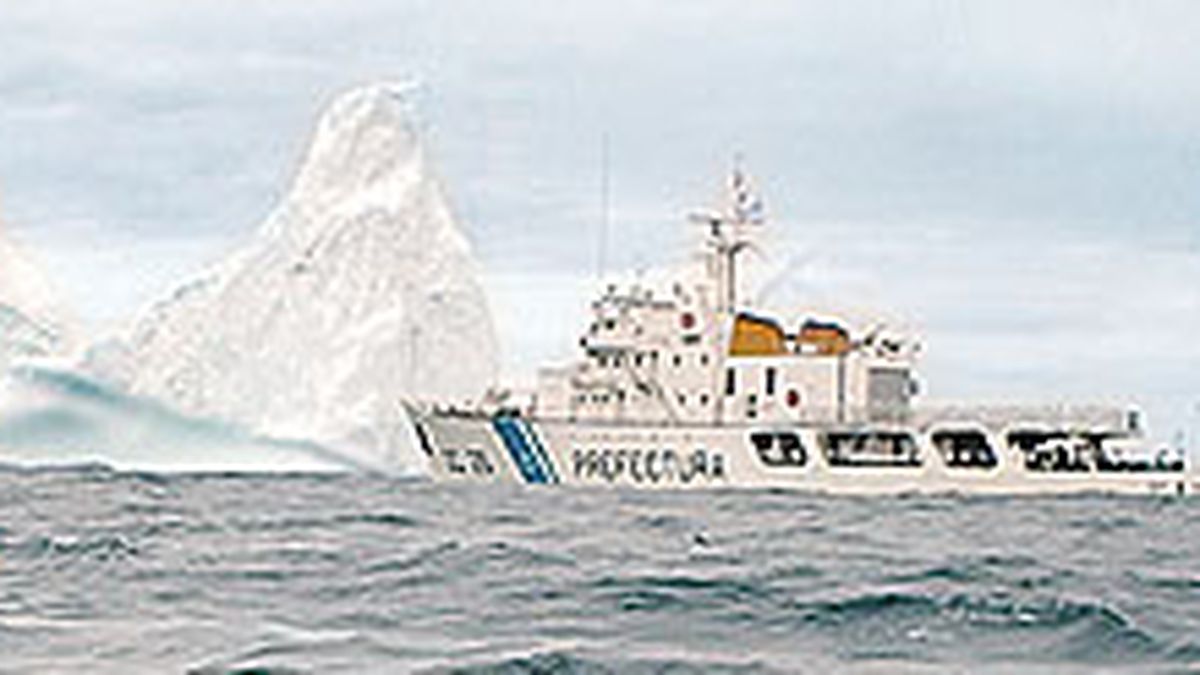 Témpanos a la deriva