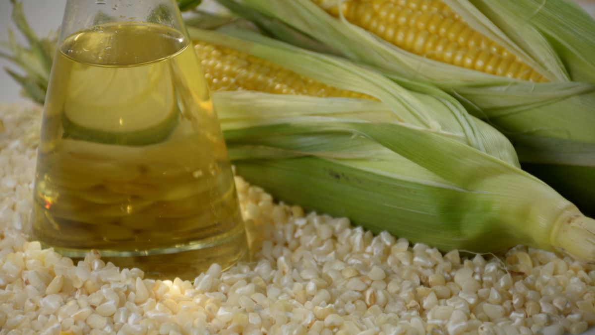 Biocombustibles: autorizan un 5% de aumento en el bioetanol