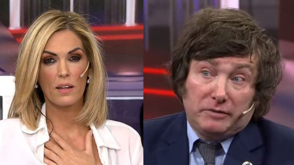 Javier Milei en lo de Viviana Canosa, contra la izquierda: Somos ...