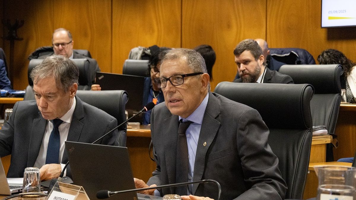 Gabriel Oddone aseguró que los nuevos cambios tributarios no tienen ...