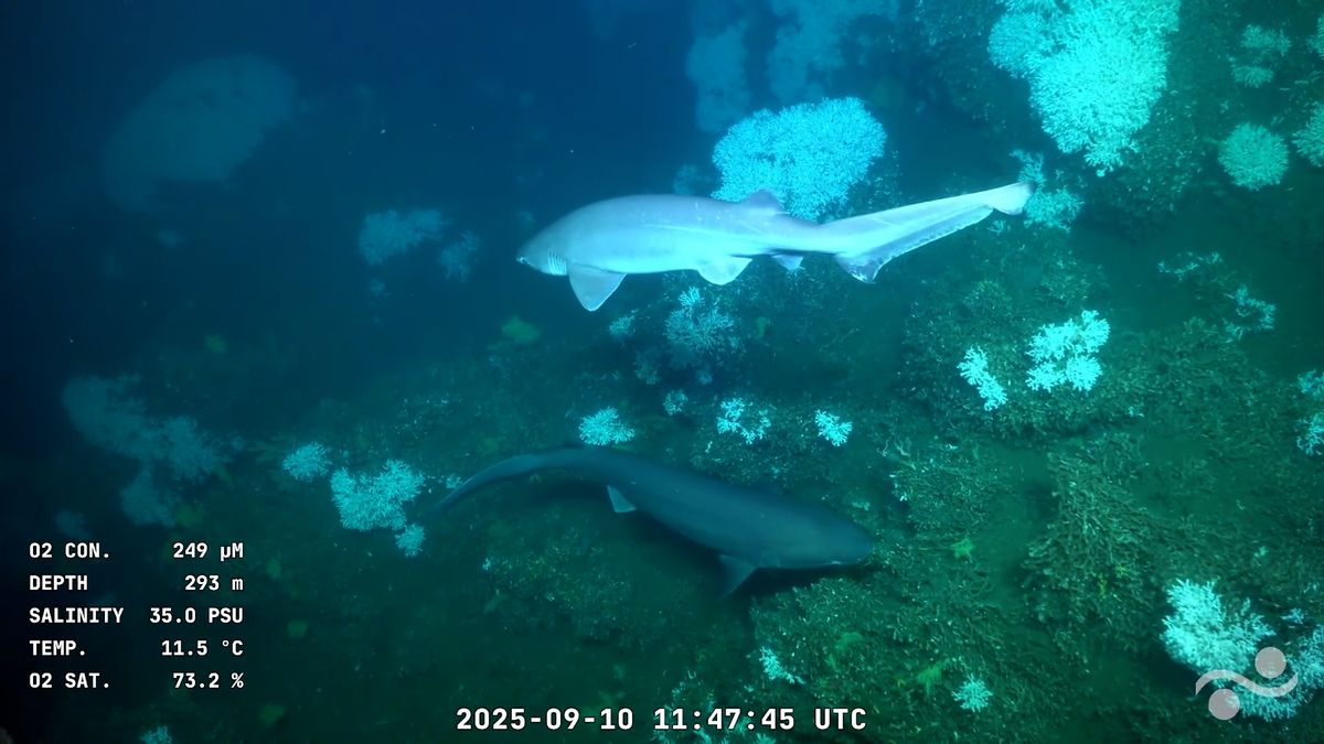 Miss.swagger nude sharon was a great way to get back into