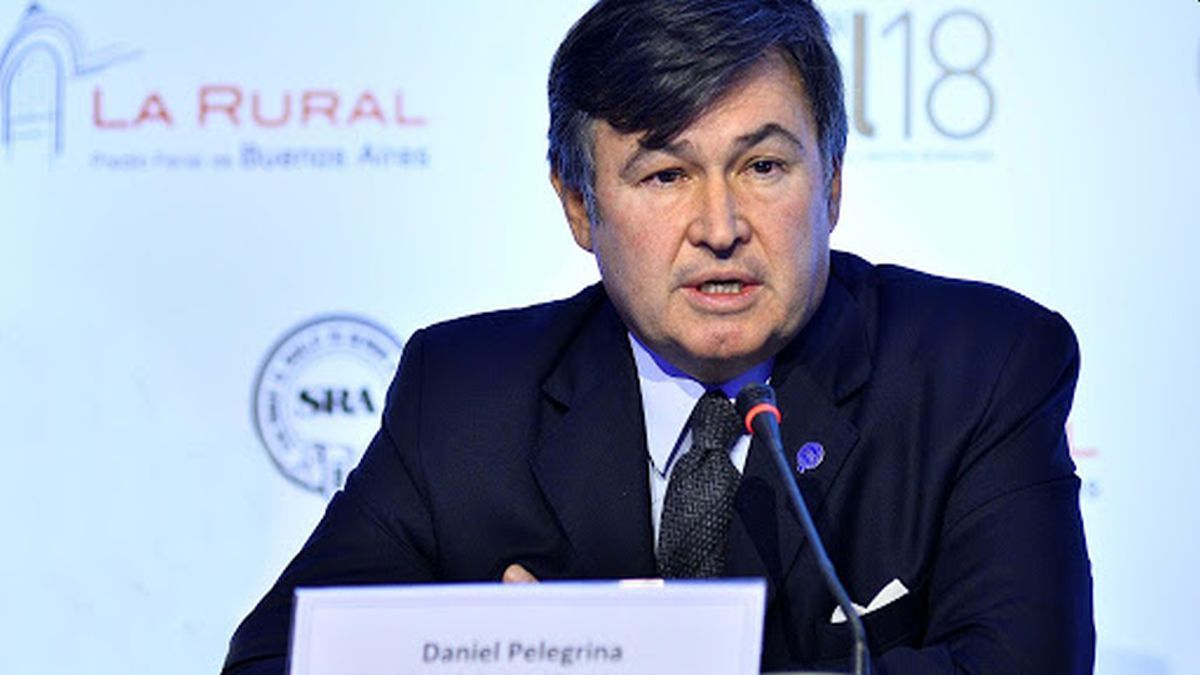 Daniel Pelegrina: Es de esperar que precios altos se repitan en próxima ...