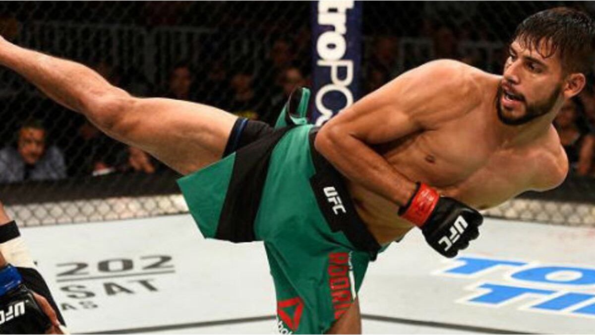 UFC vuelve a México este año con pelea de la Pantera Rodríguez: día ...